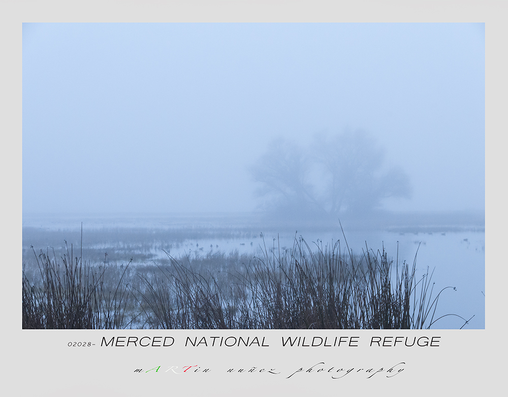 Merced National Wildlife Refuge – This site and all of its contents ...